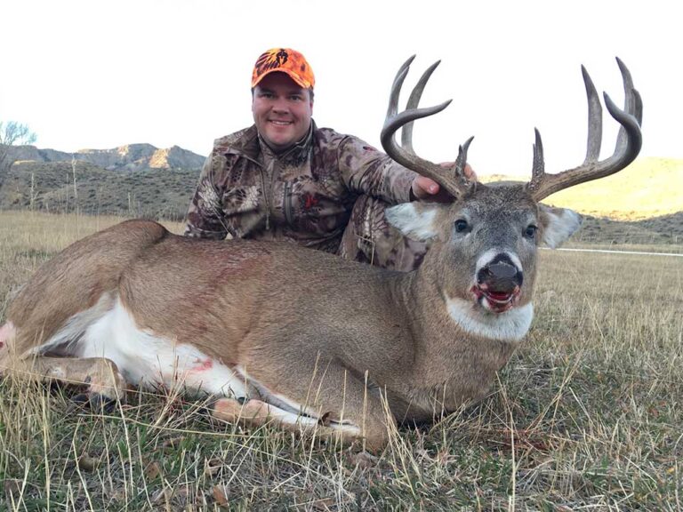 Deer Photos | Wyoming Disabled Hunters