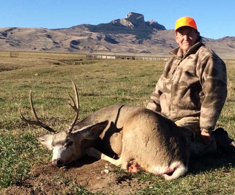 Deer Photos | Wyoming Disabled Hunters
