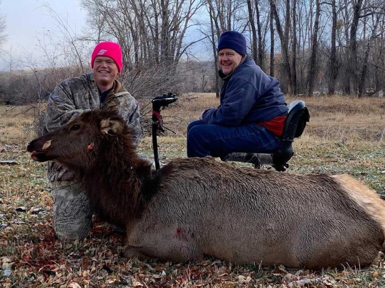 Elk Photos | Wyoming Disabled Hunters